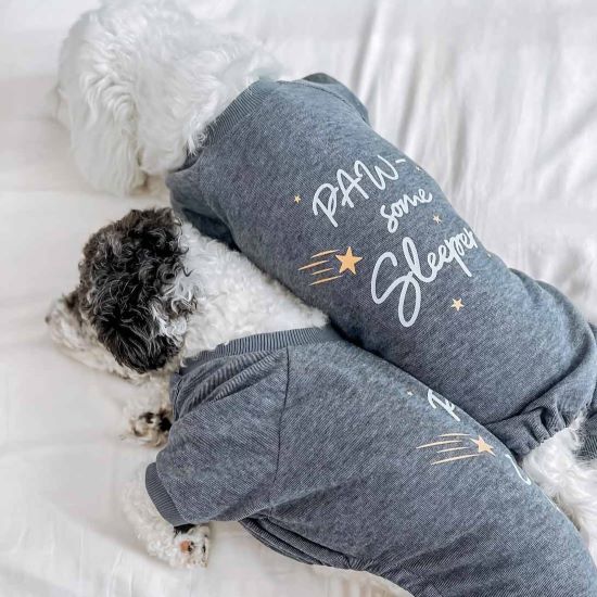 Dog Sleeping Positions Uncovered - Fitwarm