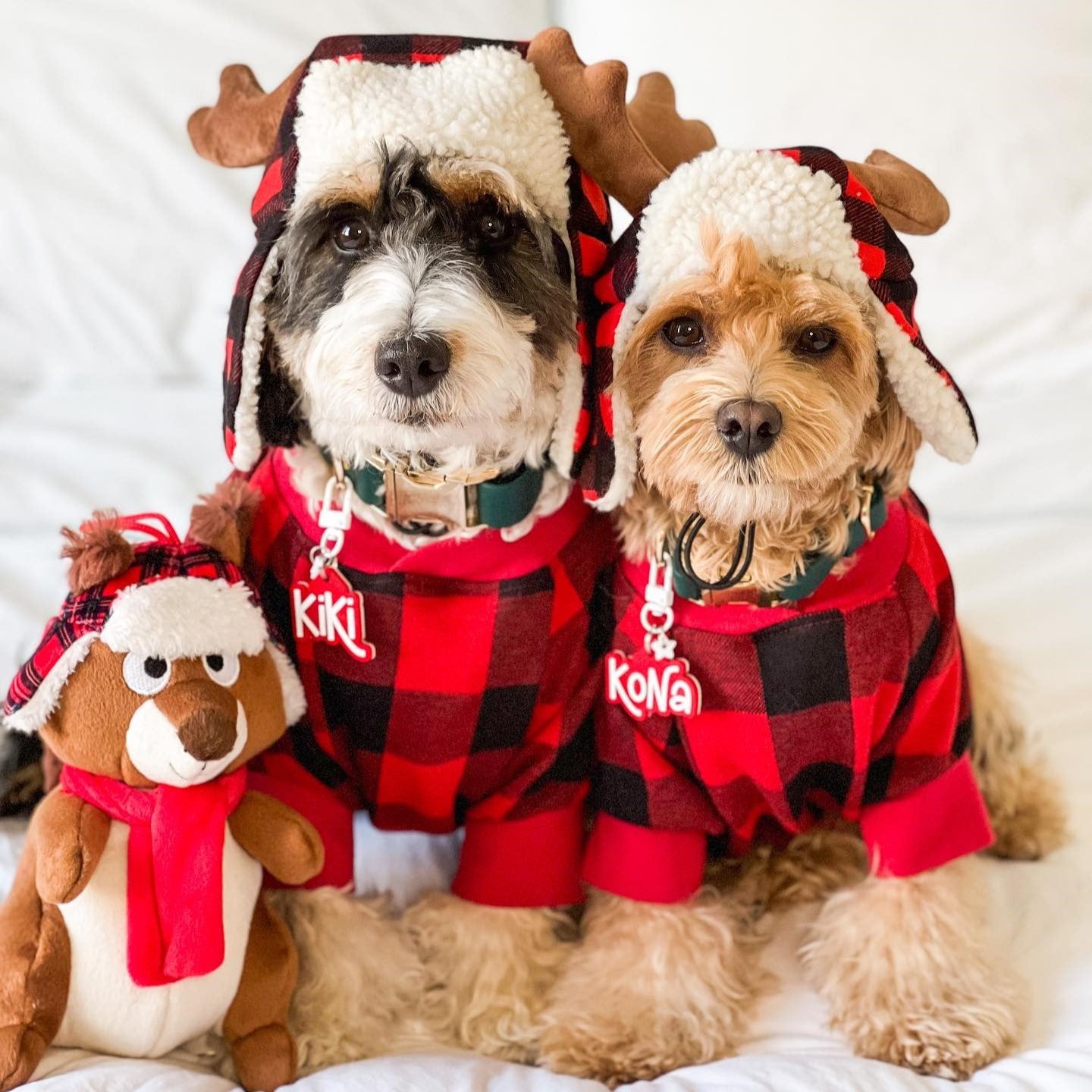 Plaid Dog Clothes | Fitwarm