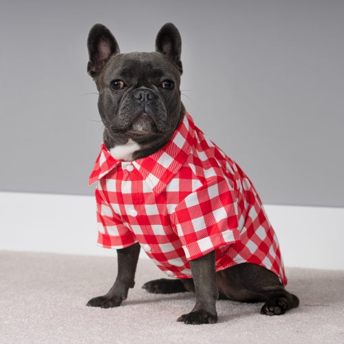 New Arrivals - Designer Dog Clothes - Fitwarm