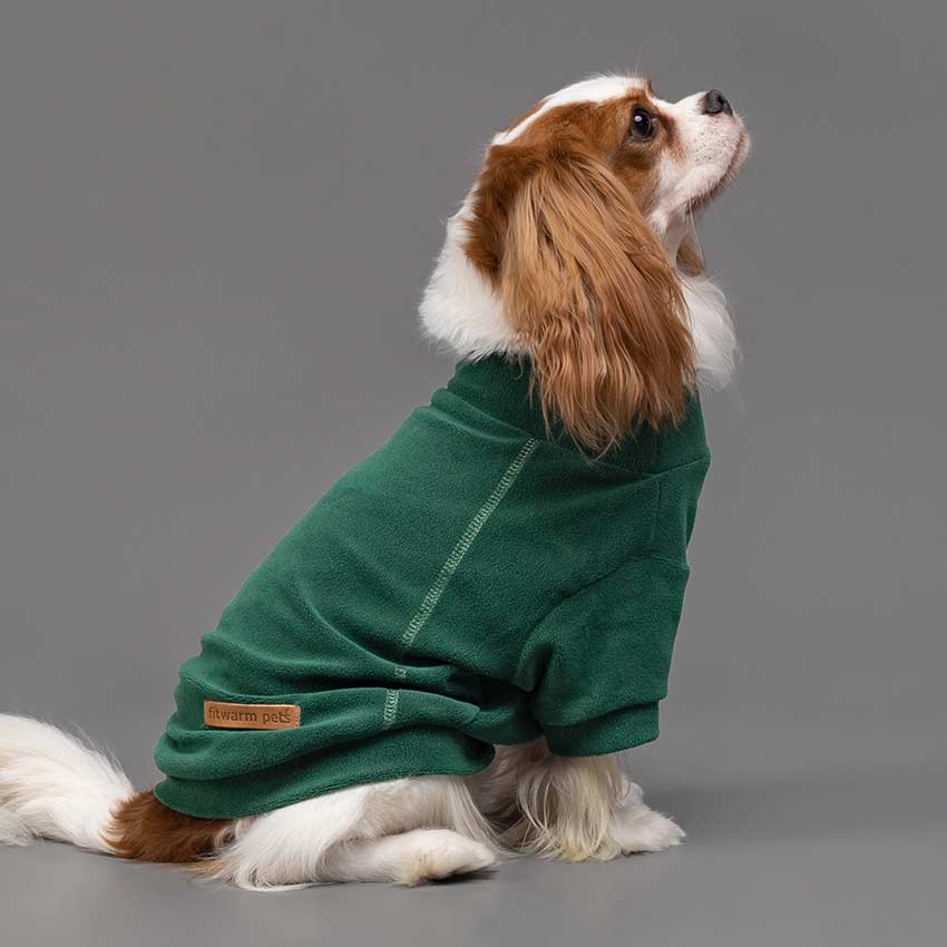 Designer Dog Clothes For All Your Fur Babies Fashion Needs - Fitwarm