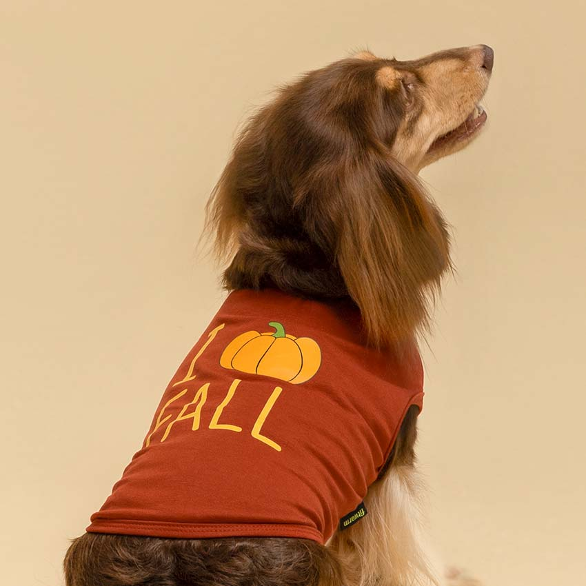 Stylish and Comfortable Dog T-Shirts | Hawaiian & Sun Shirts for Dogs ...