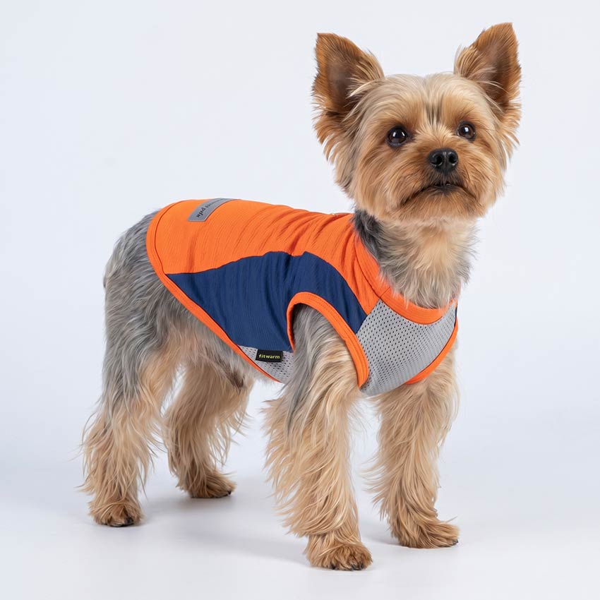 Dog Hawaiian Shirts for Summer | Stylish Puppy Attire | Fitwarm
