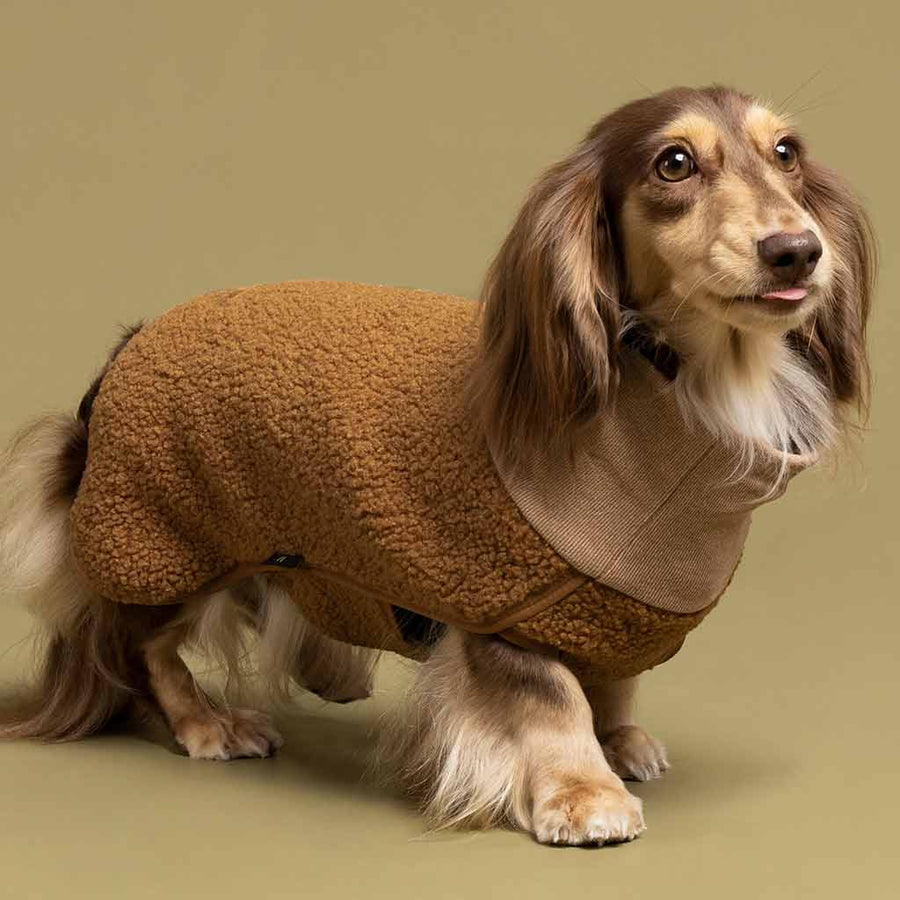 Sherpa Turtleneck Sweater for Dogs & Cats | Warm Apparel – Fitwarm