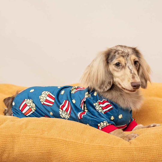 Pajamas for Dogs with Feet | Dog Pajamas | Fitwarm