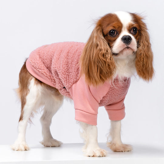 Designer Dog Clothes For All Your Fur Babies Fashion Needs - Fitwarm