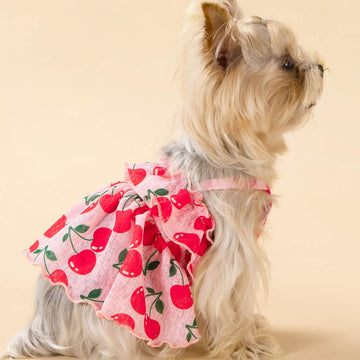Dog Dresses | Adorable Dog Clothes - Cutest Dog Clothes for Small Dogs ...
