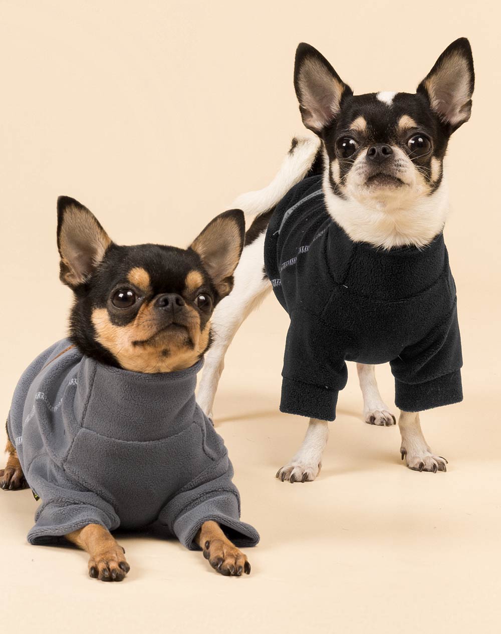 Fitwarm Official Website | Designer Dog Clothes