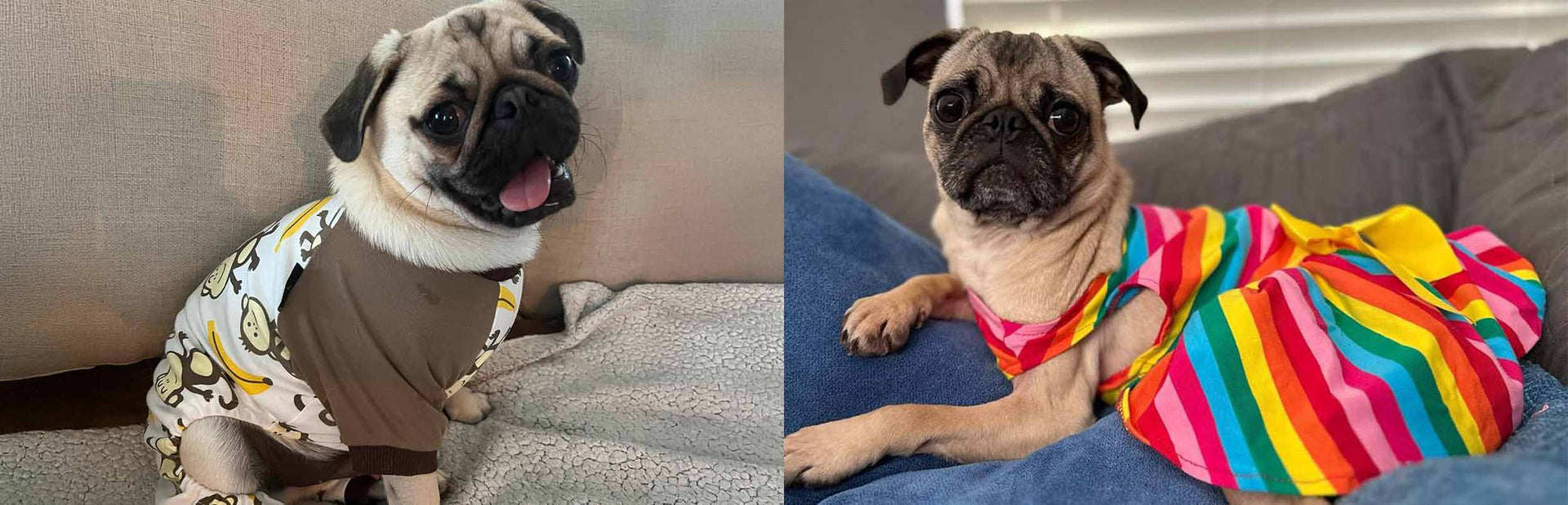 Pug Clothing | Fitwarm