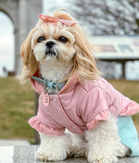 Shih Tzu Puppy Clothes | Designer Dog Outfit | Fitwarm