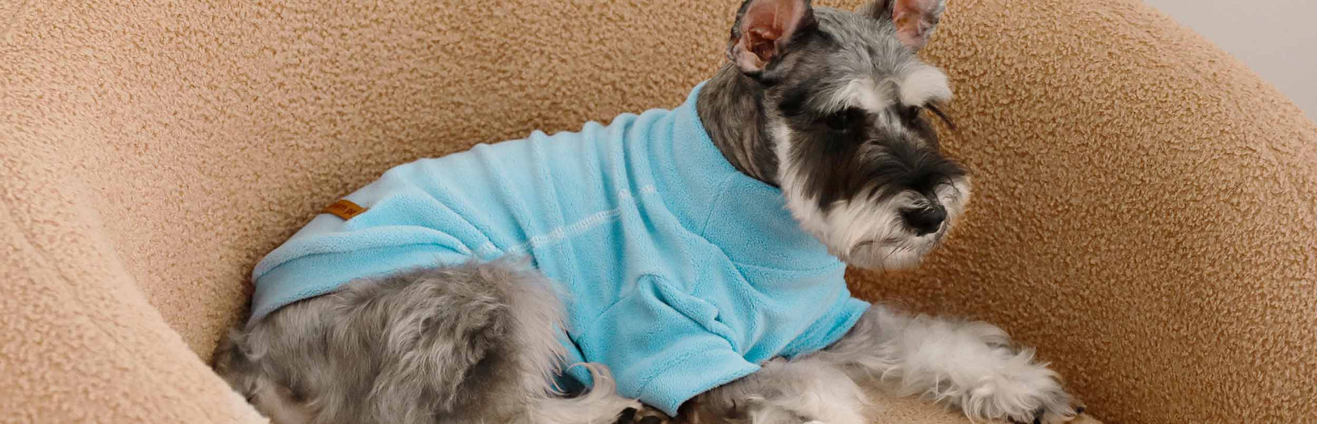 Schnauzer Clothes | Schnauzer Shirt | Fitwarm