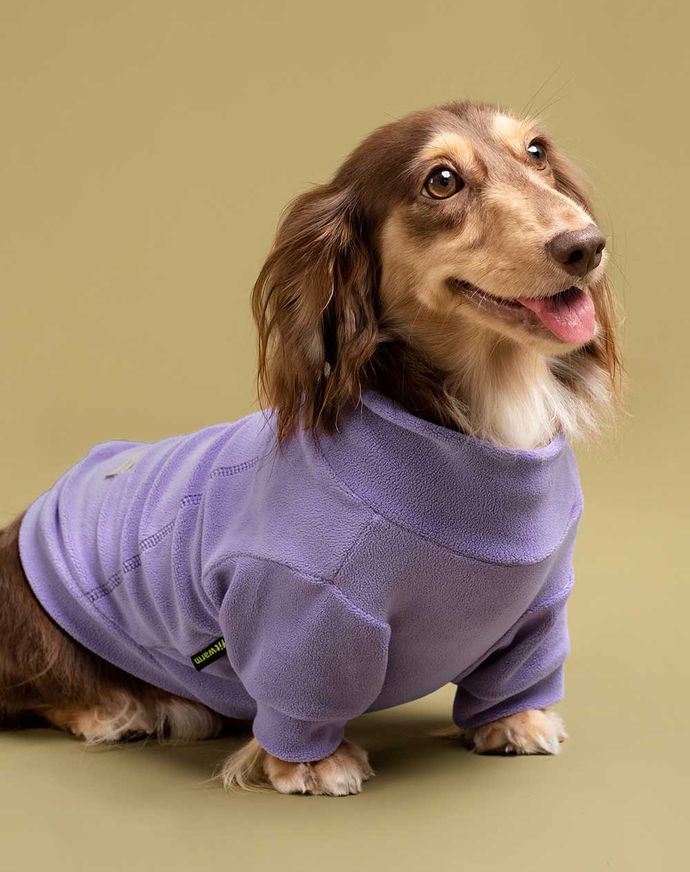 Fitwarm Official Website | Designer Dog Clothes
