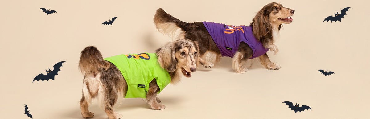 Dog Halloween Costumes - Spooky Collection - Fitwarm