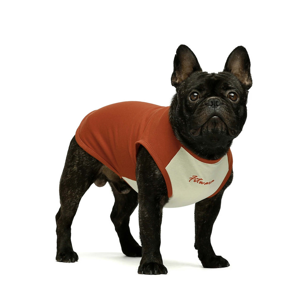 Basic Bold Dog Shirts - Fitwarm